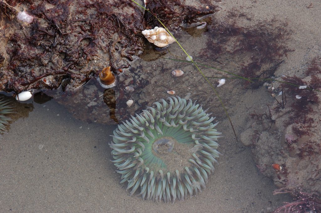 Southwest Florida boaters utilize technology for safety – Harbor News